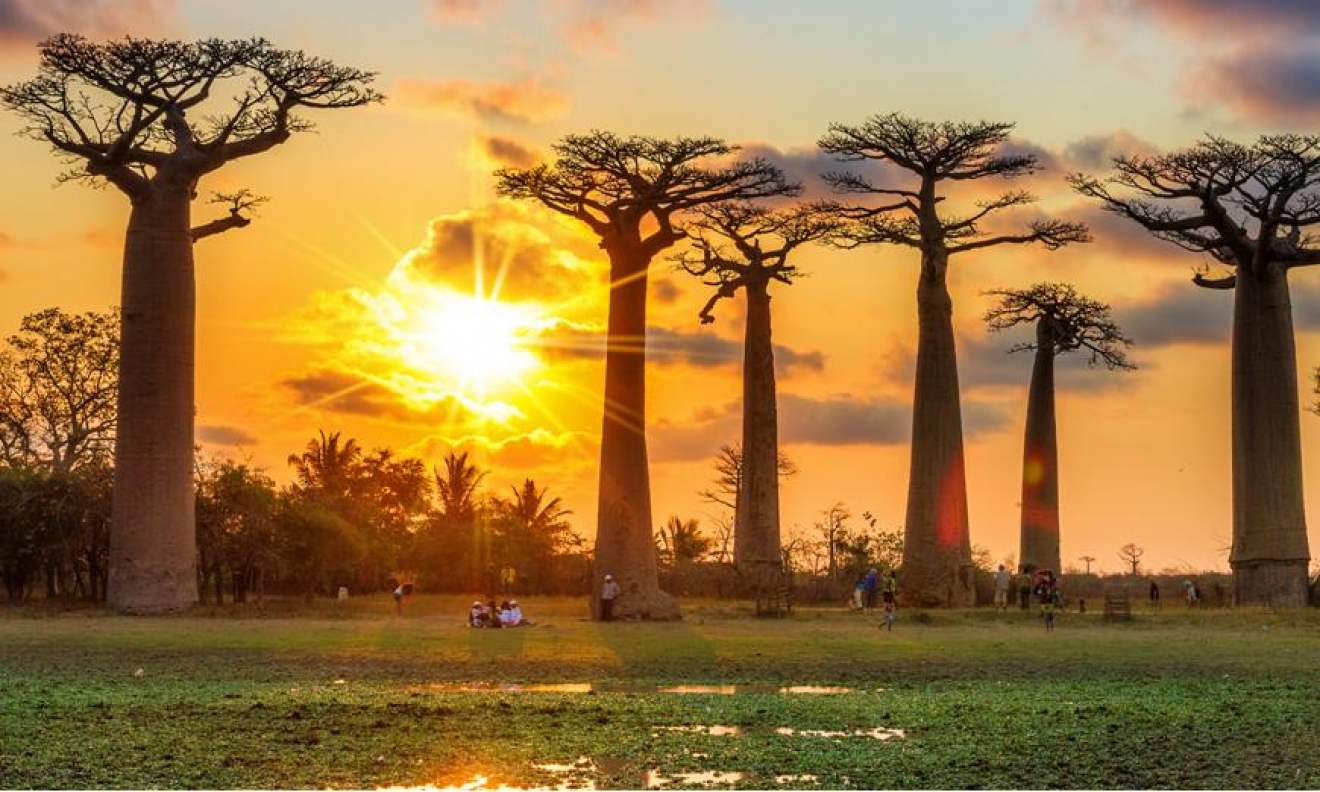 Madagascar : une destination touristique plus qu’intéressante ...