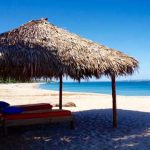 Henakisoa sy ravitoto | a traditional recipe in Madagascar