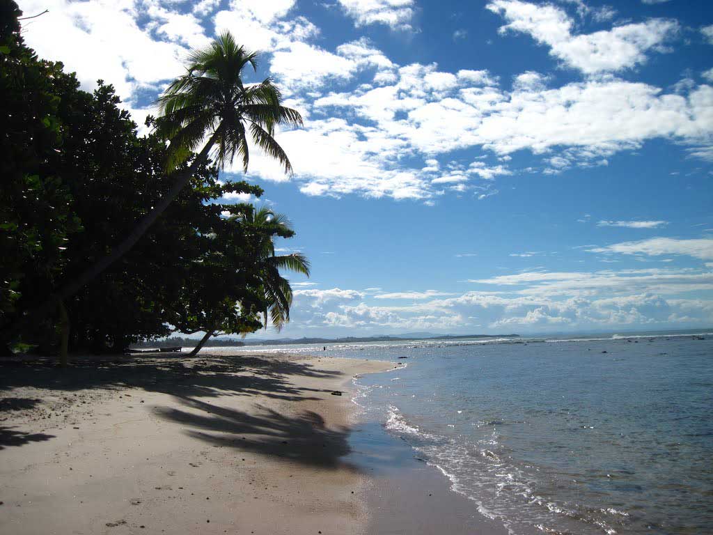 The city of Mahambo and its wonders - Booking Hôtel Madagascar