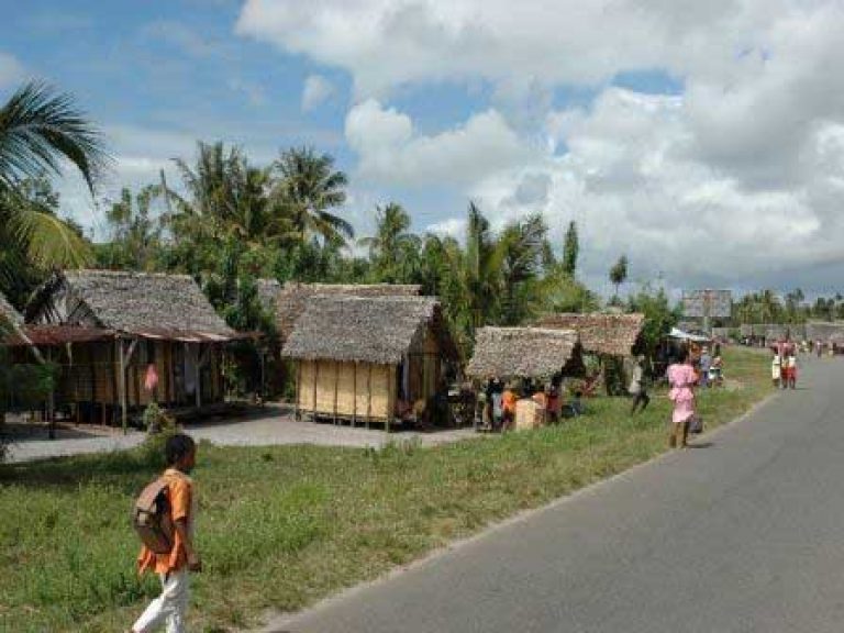 La ville de Mahambo et ses merveilles - Booking Hôtel Madagascar