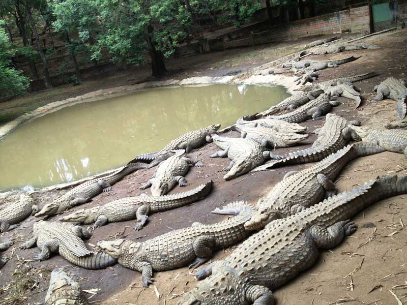 La ville d'Ivato et ses merveilles - Booking Hôtel Madagascar